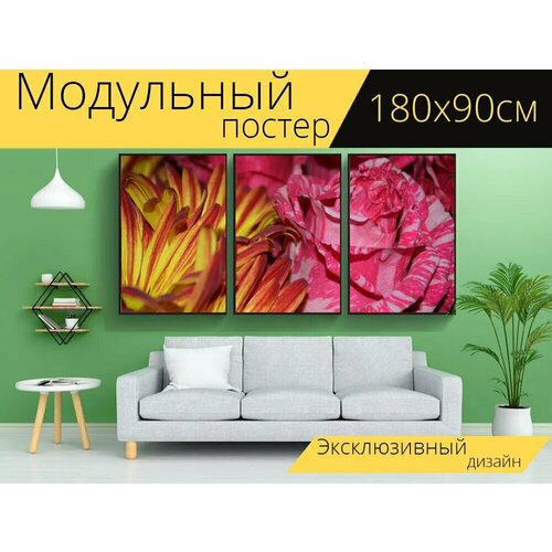 Модульный постер "Полевые цветы, макрос, цветы" 180 x 90 см. для интерьера