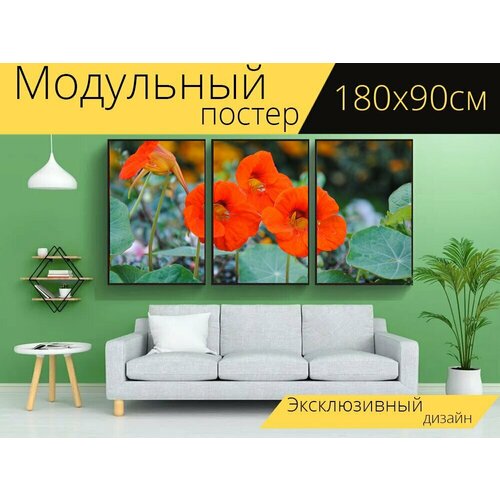 Модульный постер "Красный цвет, цветок, цветок картинка" 180 x 90 см. для интерьера