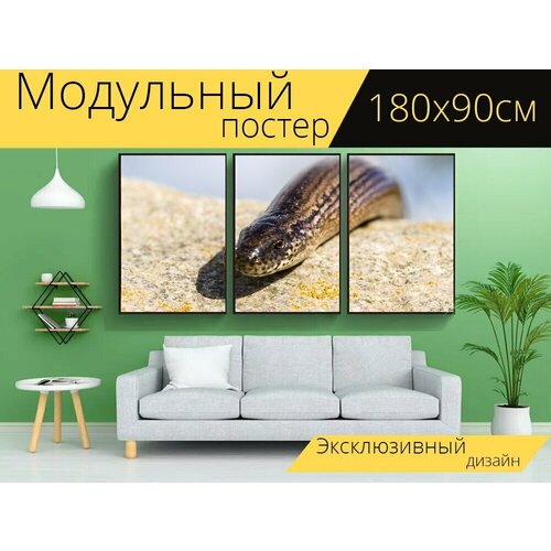 Модульный постер "Слепой червь, рептилия, животное" 180 x 90 см. для интерьера
