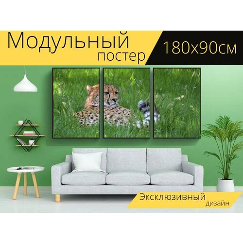 Модульный постер "Гепард, удлиненный, feline" 180 x 90 см. для интерьера