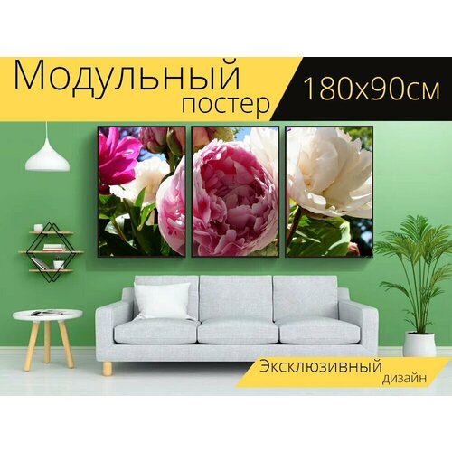 Модульный постер "Растения, цветок, пионы" 180 x 90 см. для интерьера