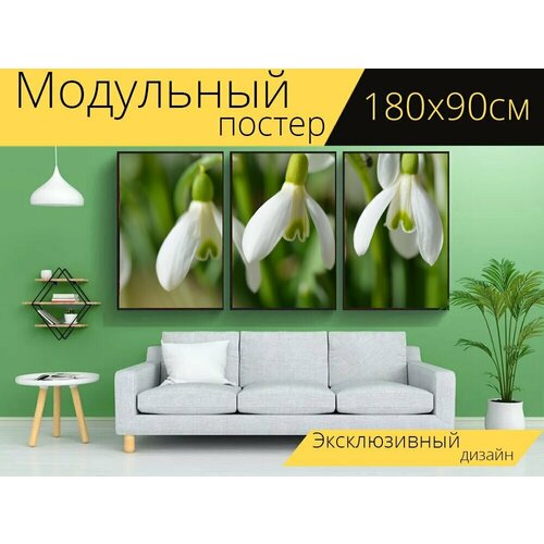 Модульный постер "Подснежники, весна, белый" 180 x 90 см. для интерьера
