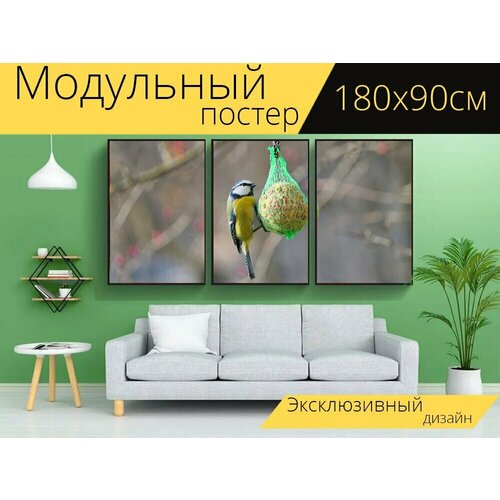 Модульный постер "Хохлатая синица, лазоревка, птица" 180 x 90 см. для интерьера