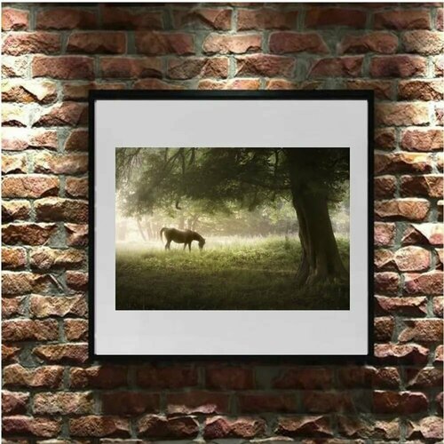 Постер "Конь, дерево, живописная лужайка в тумане" Cool Eshe из коллекции "Природа", плакат А3