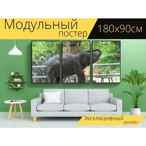Модульный постер "Слоненок, тайланд, слон" 180 x 90 см. для интерьера