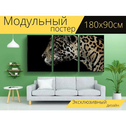 Модульный постер "Ягуар, пятнистый, глаза" 180 x 90 см. для интерьера