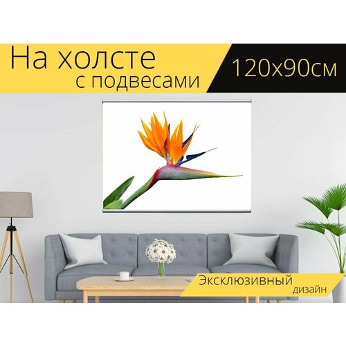 Картина на холсте "Хвостатые, стрелиция, райская птица цветок" с подвесами 120х90 см. для интерьера