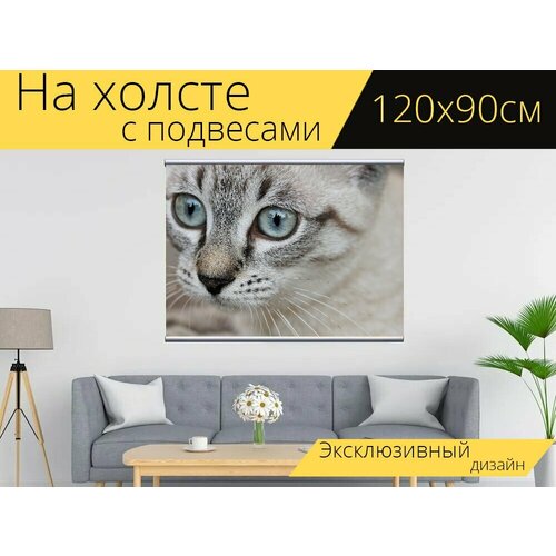 Картина на холсте "Кот, животное, глаза" с подвесами 120х90 см. для интерьера