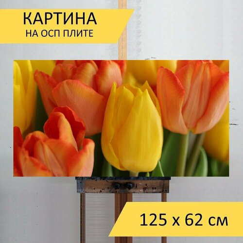 Картина на ОСП 125х62 см. "Тюльпаны, цветы, растения" горизонтальная, для интерьера, с креплениями