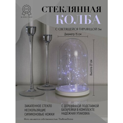 Therosedome/Стеклянная колба с Гирляндой Роса, лампа, светильник с Новогодней гирляндой, ночник для декора, цвет: холодный, подставка: белая