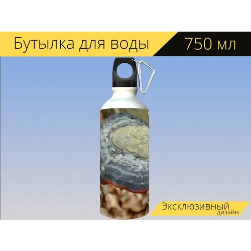 Бутылка фляга для воды "Мухомор, гриб, природа" 750 мл. с карабином и принтом