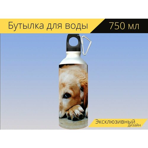 Бутылка фляга для воды "Собака, домашний питомец, щенок" 750 мл. с карабином и принтом