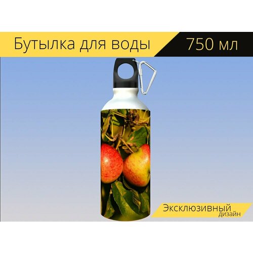 Бутылка фляга для воды "Красное яблоко, фрукты, еда" 750 мл. с карабином и принтом