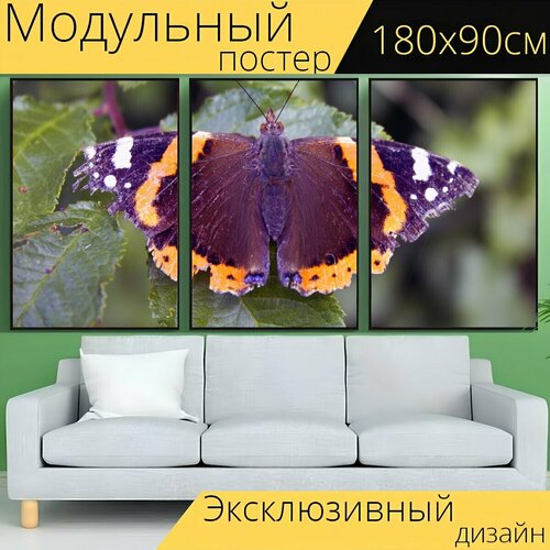 Модульный постер "Бабочка, природа, насекомое" 180 x 90 см. для интерьера