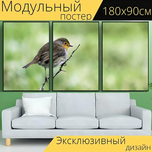 Модульный постер "Робин, птица, природа" 180 x 90 см. для интерьера