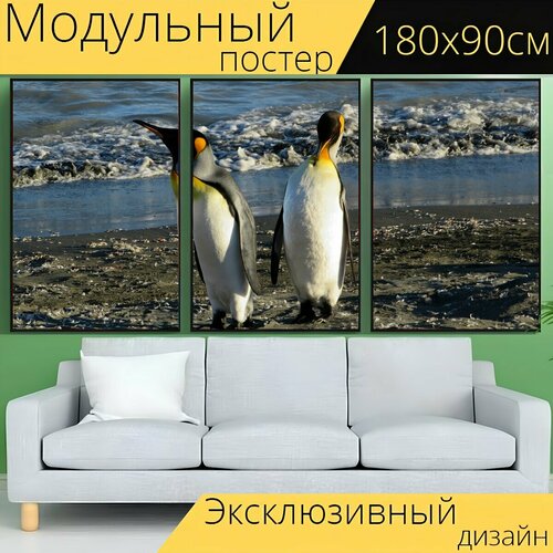 Модульный постер "Королевские пингвины, южная грузия, море" 180 x 90 см. для интерьера
