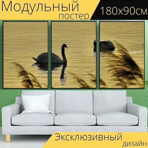 Модульный постер "Птица, воды, озеро" 180 x 90 см. для интерьера