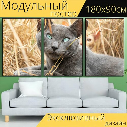 Модульный постер "Кошка, зеленые глаза, котенок" 180 x 90 см. для интерьера
