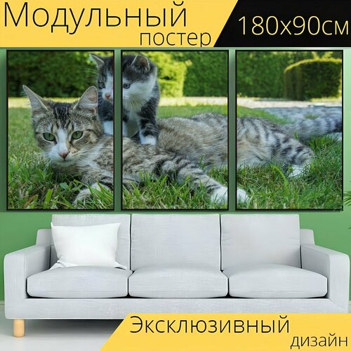 Модульный постер "Кошка, котенок, кошки" 180 x 90 см. для интерьера