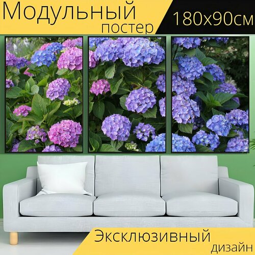 Модульный постер "Сад, флора, цвести" 180 x 90 см. для интерьера