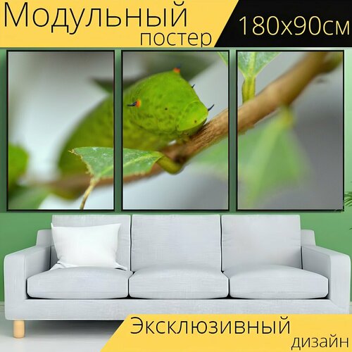 Модульный постер "Гусеница, зеленый, личинка" 180 x 90 см. для интерьера