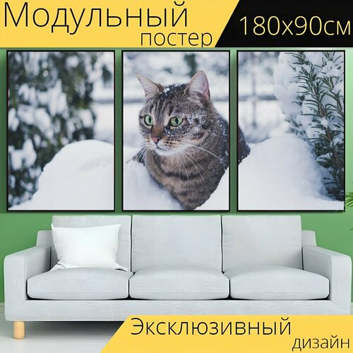 Модульный постер "Кошка, зима, полосатый" 180 x 90 см. для интерьера