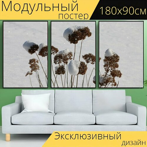 Модульный постер "Зима, растения, холодный" 180 x 90 см. для интерьера