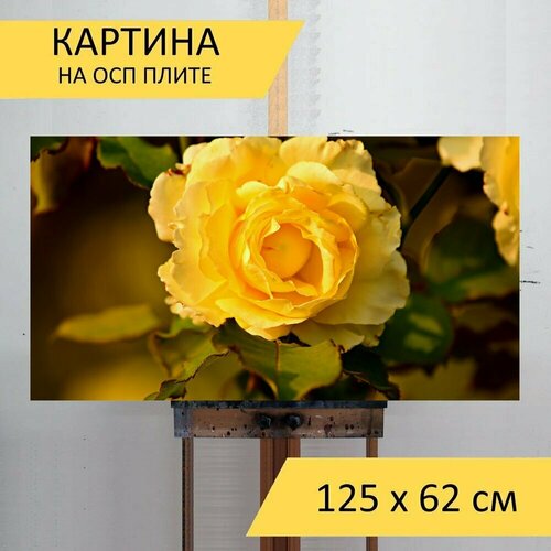 Картина на ОСП 125х62 см. "Желтая роза, цветок, завод" горизонтальная, для интерьера, с креплениями