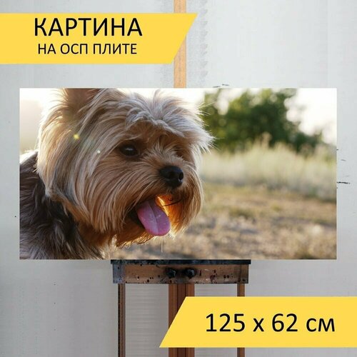 Картина на ОСП 125х62 см. "Собака, маленькая собака, йорик" горизонтальная, для интерьера, с креплениями