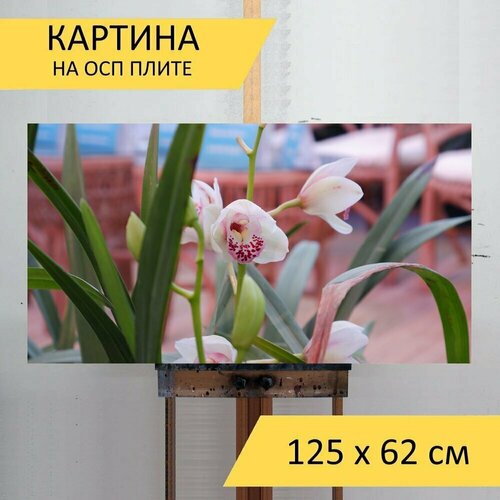 Картина на ОСП 125х62 см. "Орхидеи, цветы, белые" горизонтальная, для интерьера, с креплениями