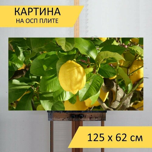 Картина на ОСП 125х62 см. "Лимон, дерево, фрукты" горизонтальная, для интерьера, с креплениями