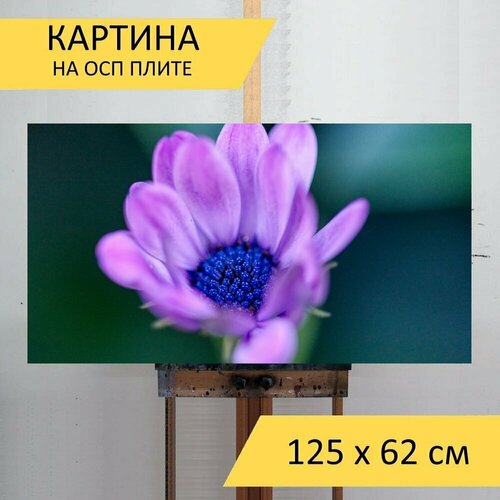 Картина на ОСП 125х62 см. "Цветок, лепестки, фиолетовый" горизонтальная, для интерьера, с креплениями