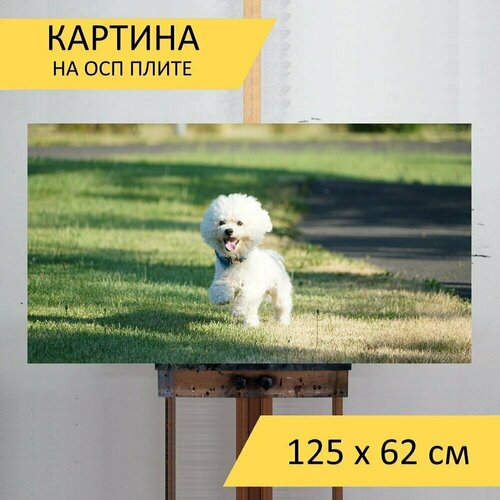Картина на ОСП 125х62 см. "Собака, сладкий, животные" горизонтальная, для интерьера, с креплениями