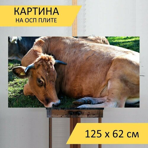 Картина на ОСП 125х62 см. "Корова, жвачный, говядина" горизонтальная, для интерьера, с креплениями