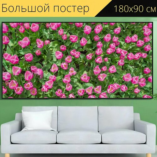 Большой постер "Розовый, тюльпан, поле" 180 x 90 см. для интерьера