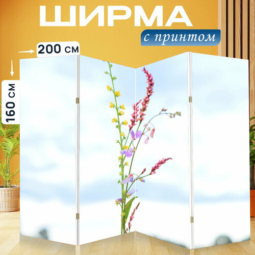 Ширма перегородка с принтом "Полевой цветок, букет, полевые цветы" на холсте - 200x160 см. для зонирования, раскладная
