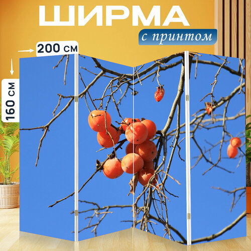 Ширма перегородка с принтом "Хурма, ветвь, фрукты" на холсте - 200x160 см. для зонирования, раскладная