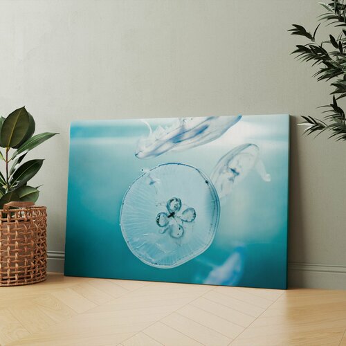 Картина на холсте "Группа медуз плавает в воде" 40x60 см. Интерьерная, на стену.