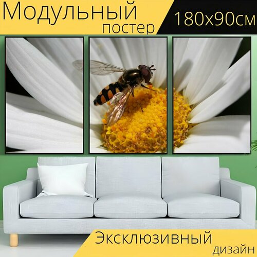 Модульный постер "Журчалки, цветочная муха, сирфидная муха" 180 x 90 см. для интерьера