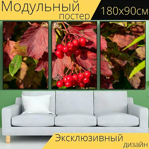 Модульный постер "Калина, ягоды, листва" 180 x 90 см. для интерьера
