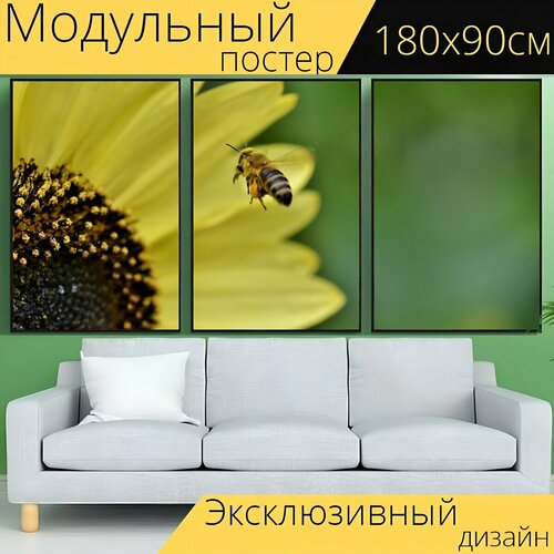 Модульный постер "Пчела, насекомое, полет" 180 x 90 см. для интерьера