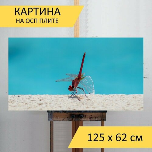 Картина на ОСП 125х62 см. "Стрекоза, насекомое, энтомология" горизонтальная, для интерьера, с креплениями