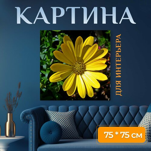 Картина на холсте "Цветок, желтый, весна" на подрамнике 75х75 см. для интерьера