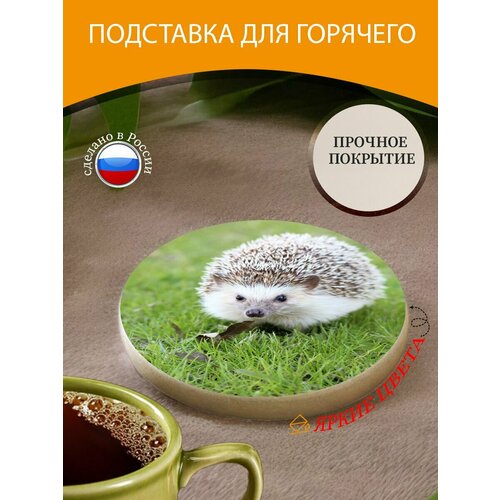 Подставка под горячее "Еж, милый, животное" 10 см. из блого мрамора