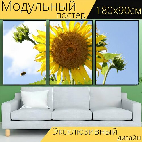 Модульный постер "Подсолнух, солнце, летом" 180 x 90 см. для интерьера