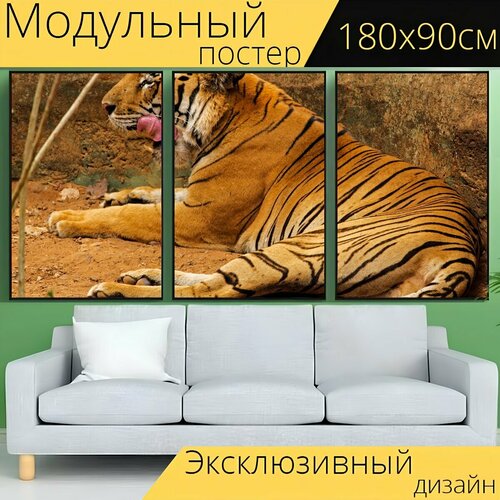 Модульный постер "Млекопитающее, тигр, дикая природа" 180 x 90 см. для интерьера
