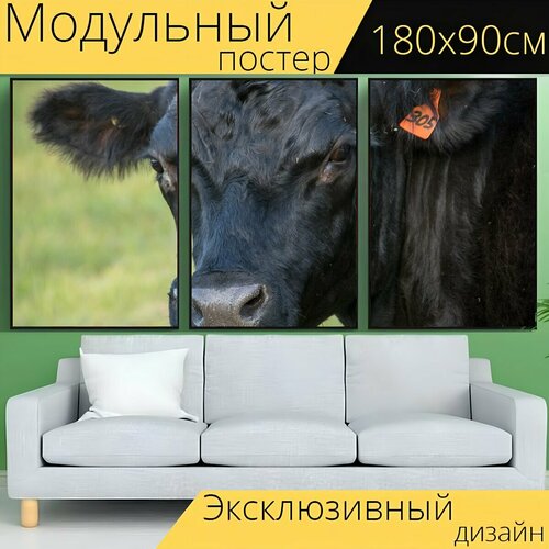 Модульный постер "Корова, крупный рогатый скот, склад" 180 x 90 см. для интерьера