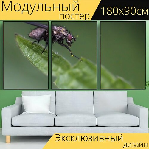 Модульный постер "Больше, насекомое, цветочная пыльца" 180 x 90 см. для интерьера