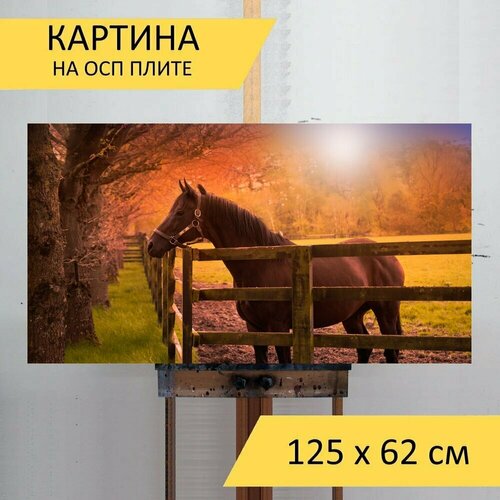 Картина на ОСП 125х62 см. "Лошадь, животное, пони" горизонтальная, для интерьера, с креплениями