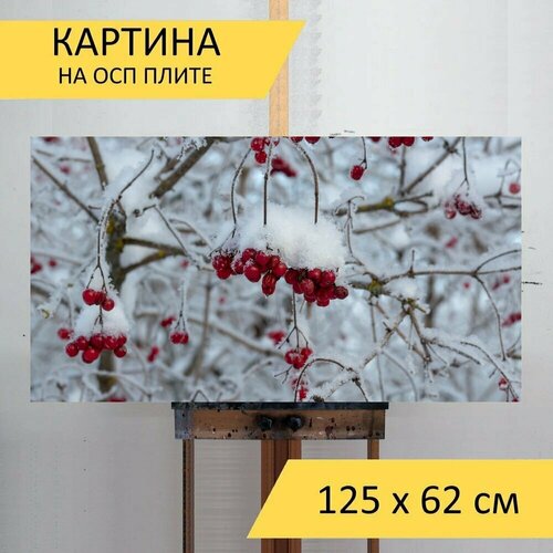 Картина на ОСП 125х62 см. "Калина, ягоды, гроздь" горизонтальная, для интерьера, с креплениями